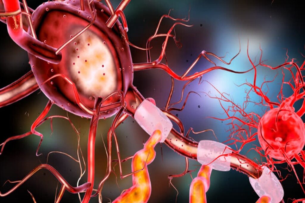 The Rosehip Neuron In The Human Brain | The New Dispatch